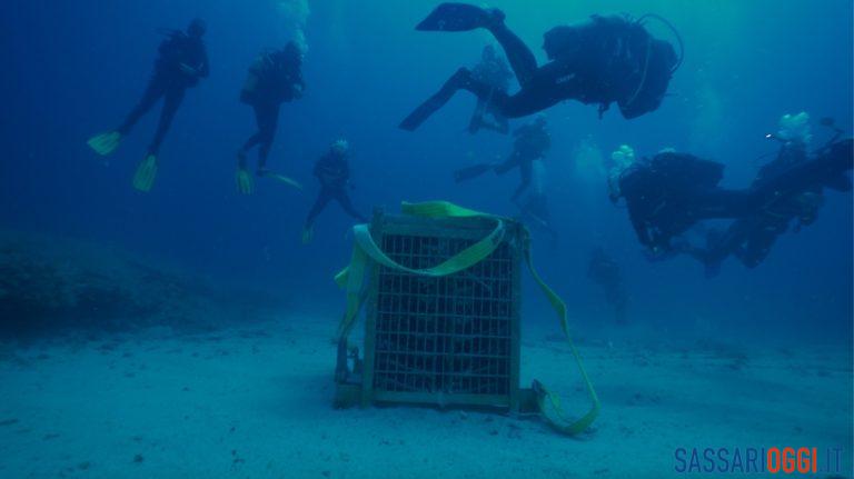 Akènta Sub, dalle acque di Alghero emerge il vino subacqueo