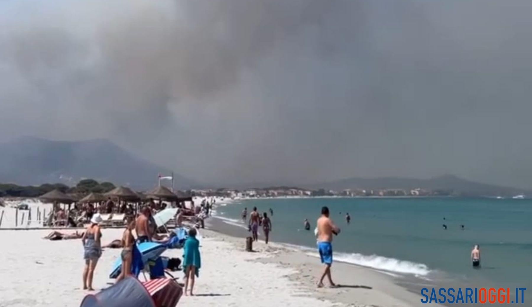 Sardegna nella morsa del fuoco: 42 incendi in tutta l'Isola battuta dal ...